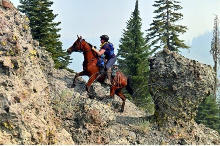 Tevis Cup: The Toughest 100 Mile Horse Race on the Planet - Couples ...